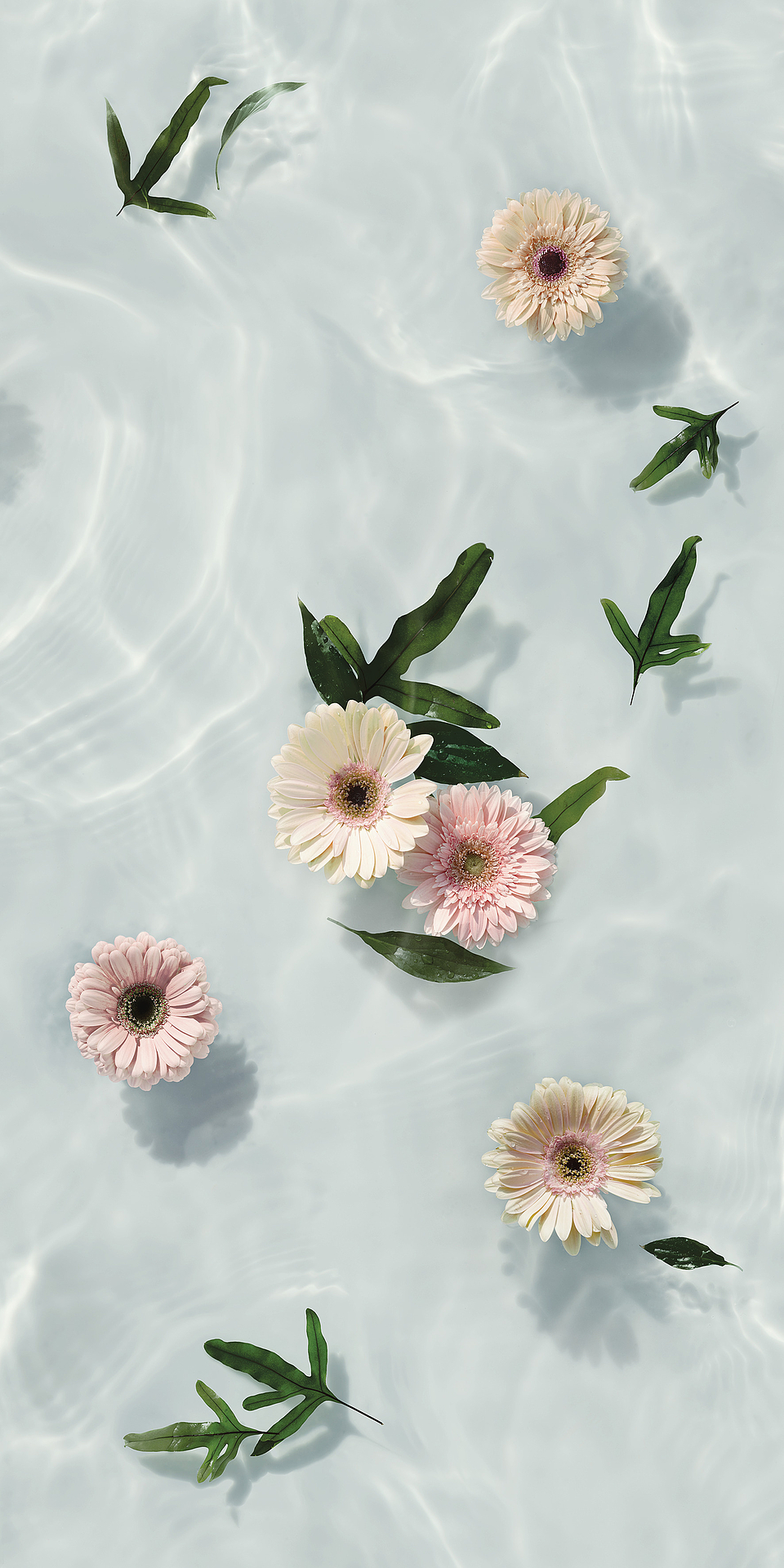 4100714... Paper41 Lux by 41ZERO42. From £317 in Italy +delivery