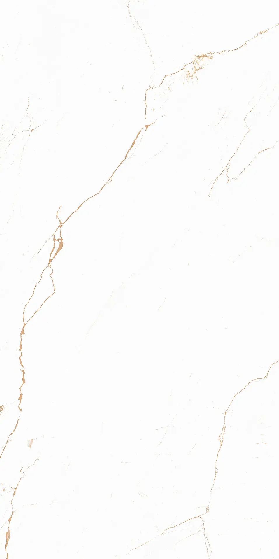 White tiles, other marbles effect 60x120 (Italy). Reviews. Samples to ...