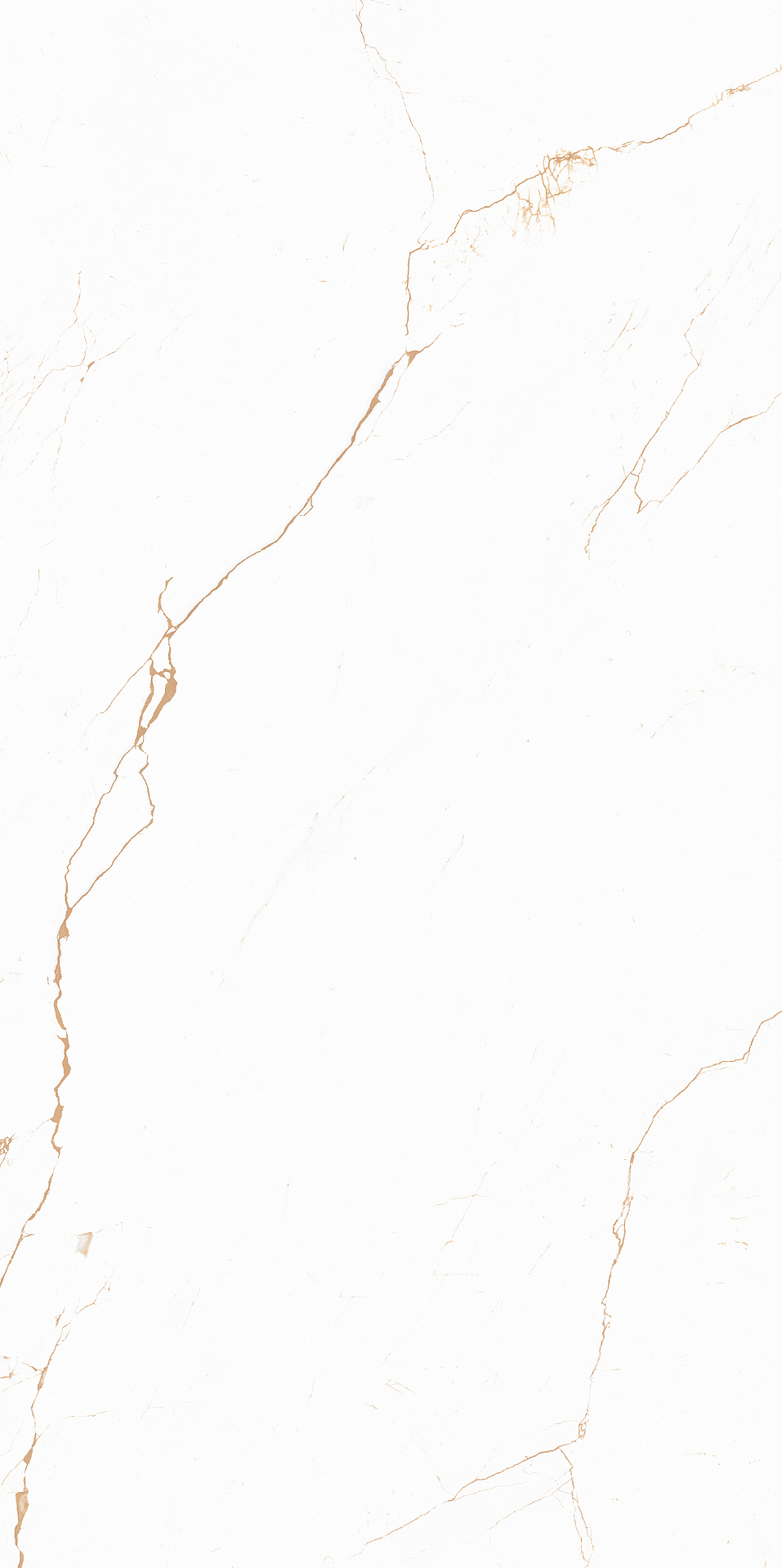 White tiles, other marbles effect 60x120 (Italy). Reviews. Samples to ...