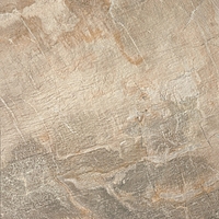 Fossil von ABK • Tile.Expert – Versand der italienischen Fliesen