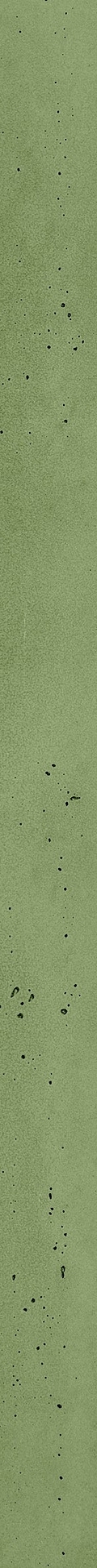 Green tiles 6x100 (Portugal). Reviews. Samples to the USA in 48h