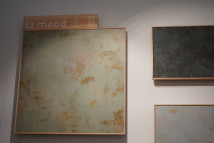 Mood Tiles by Apavisa. Discontinued