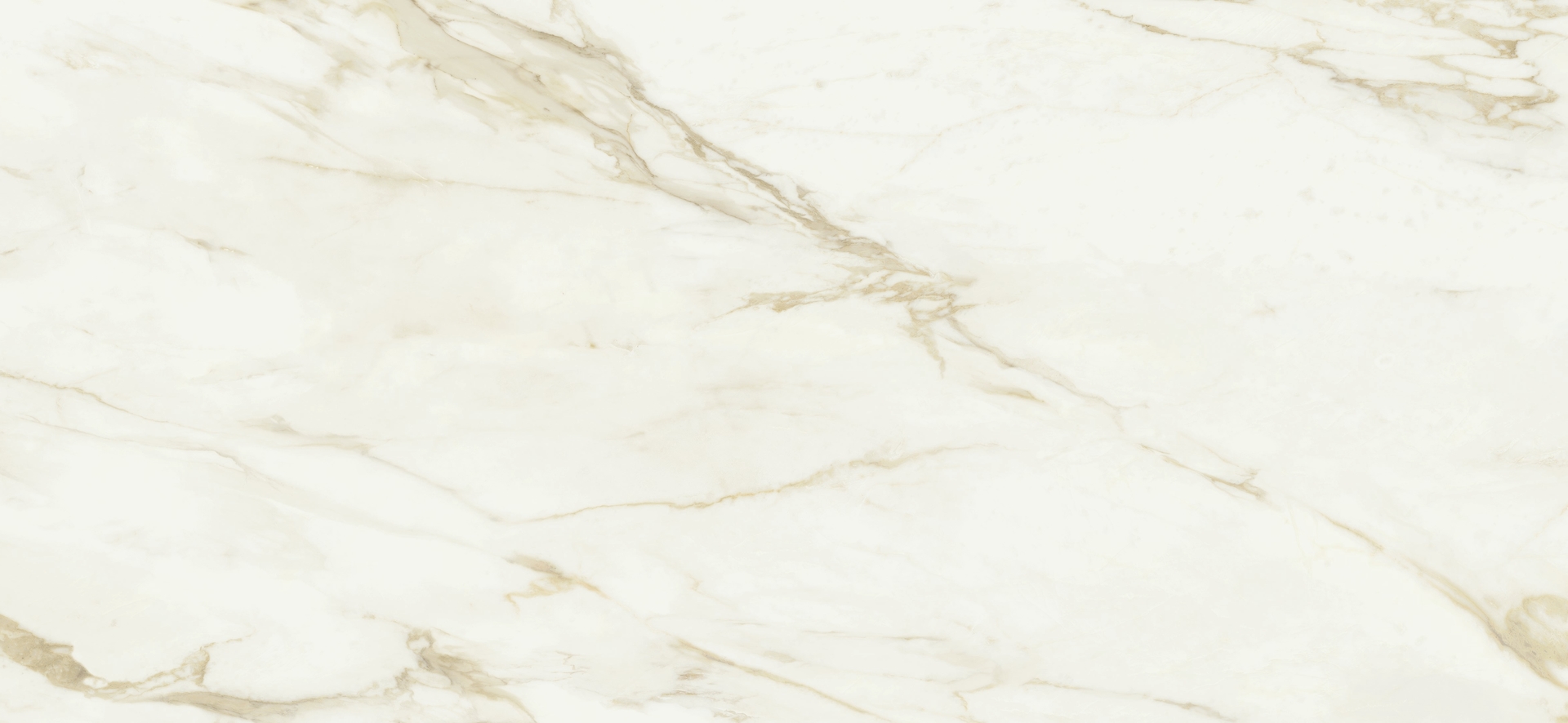 Adaggio... Adaggio by Baldocer. From $6 in New York +delivery