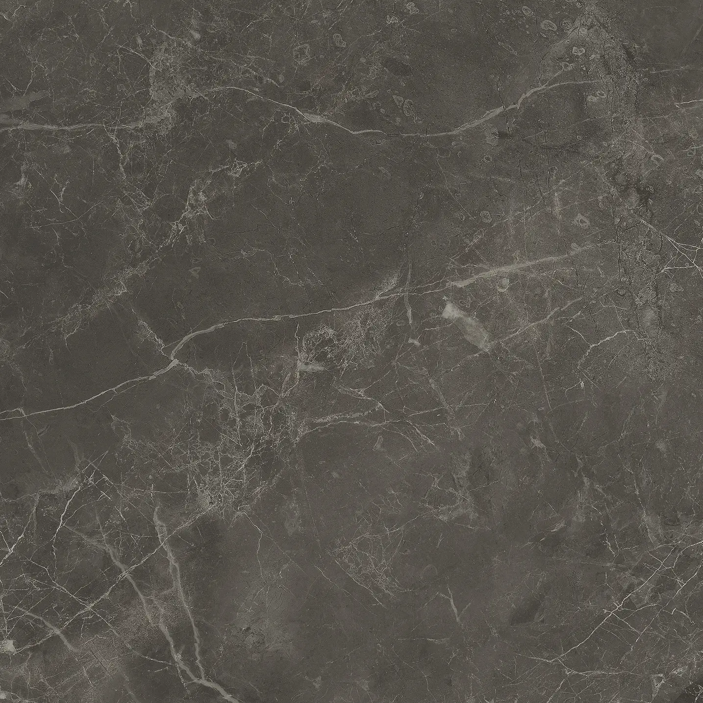 Balmoral... Balmoral by Baldocer. From $3 in New York +delivery