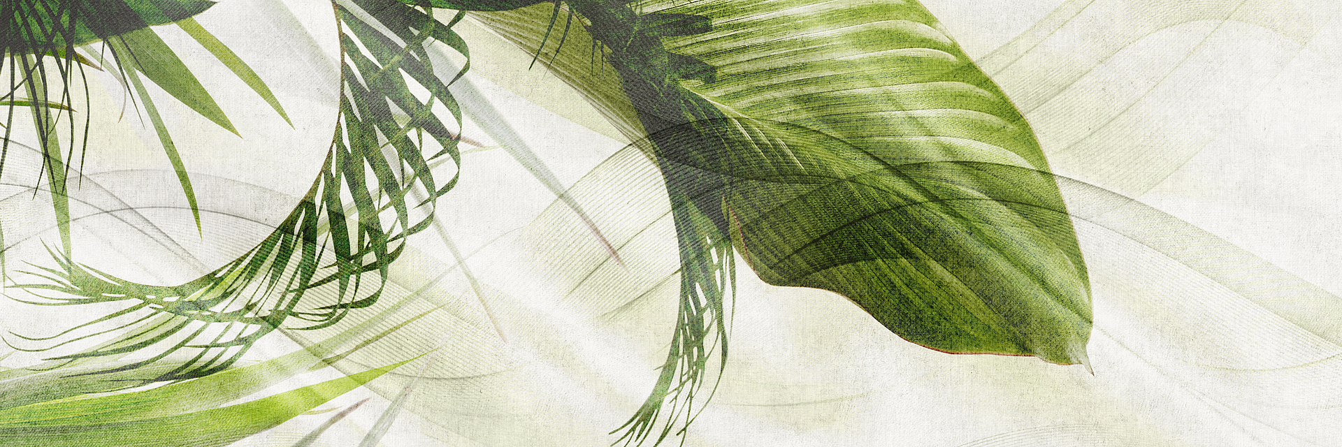 BLCA082B... Plantago de Bulbo. À partir de €339 en Italie +livraison