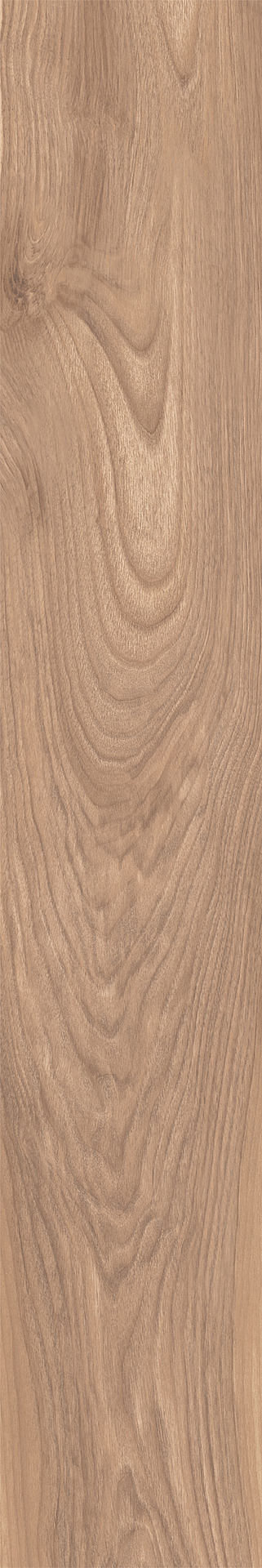 AESA... Hike by Caesar. From $7 in New York +delivery