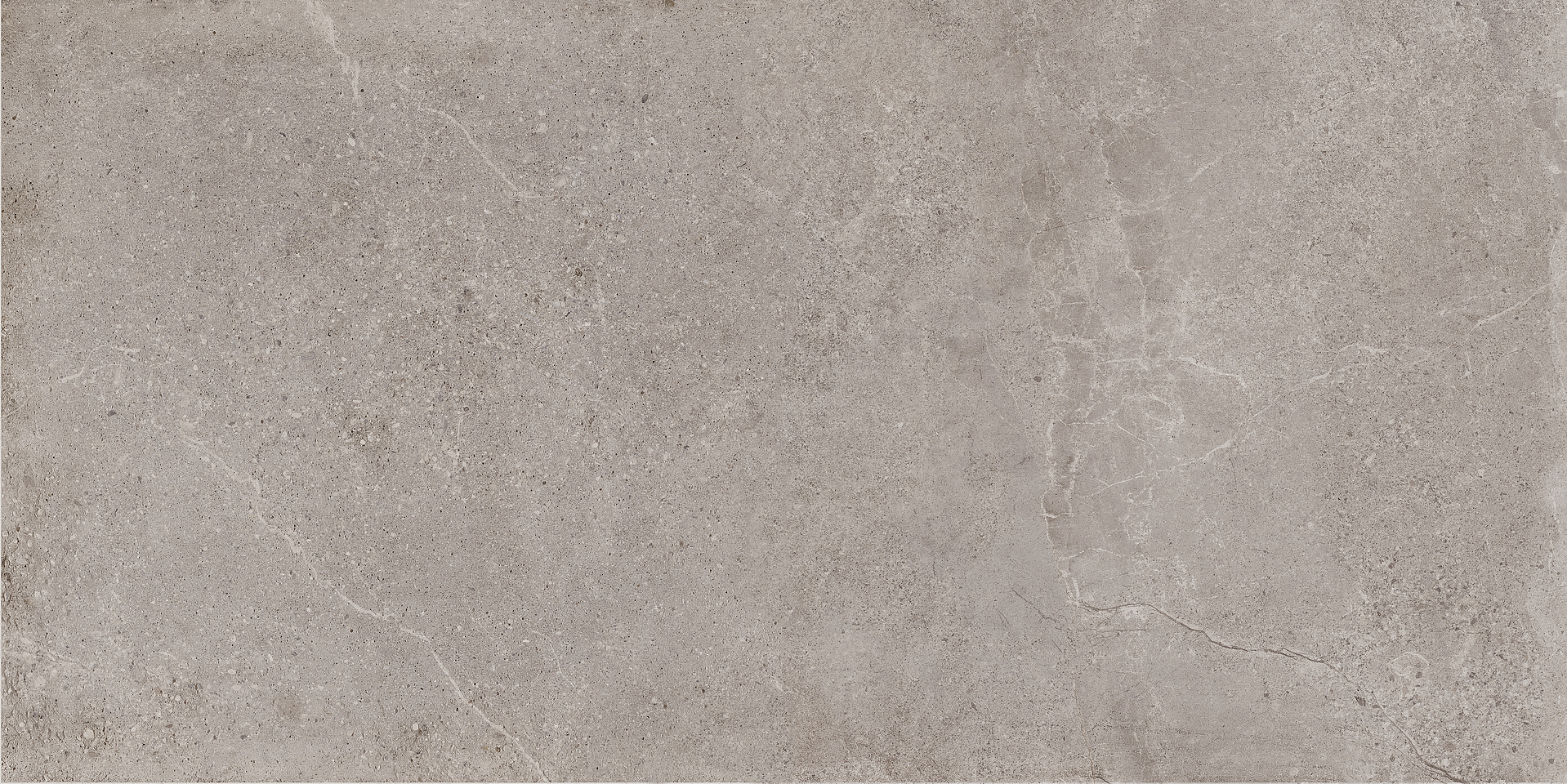 Gray tiles, other stones effect 60x120 (Italy). Reviews. Samples to the ...
