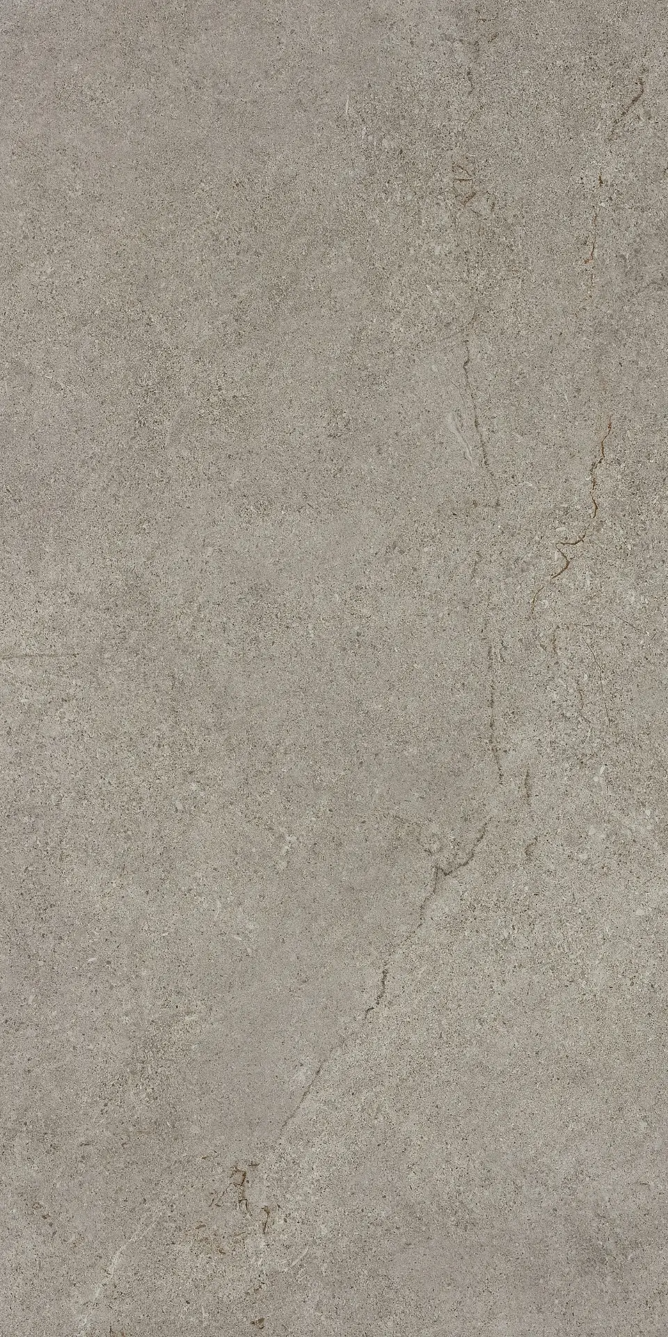 Gray tiles, limestone effect 60x120 (Italy). Reviews. Samples to the ...