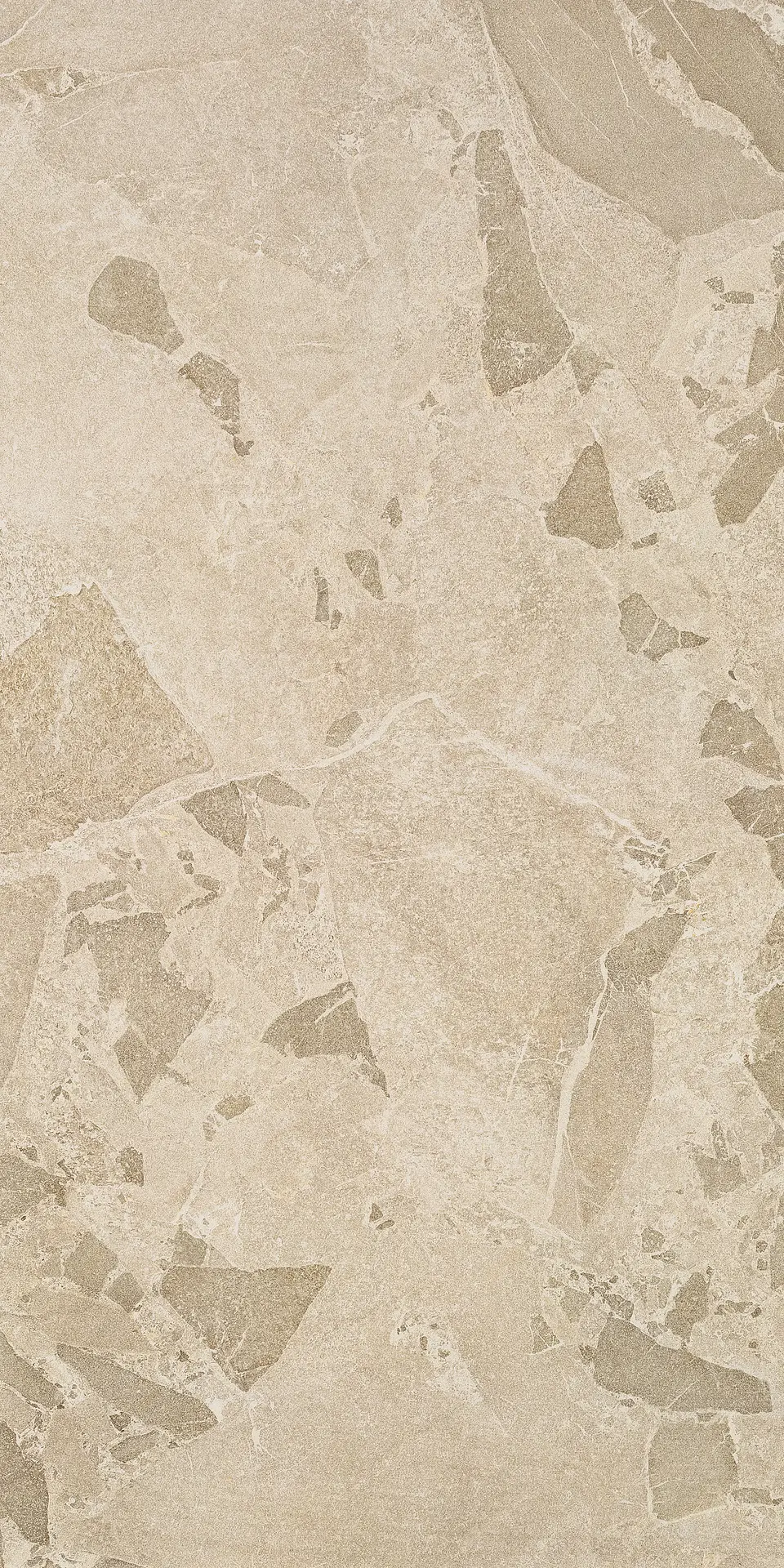 Beige tiles, other stones effect 60x120 (Italy). Reviews. Samples to ...