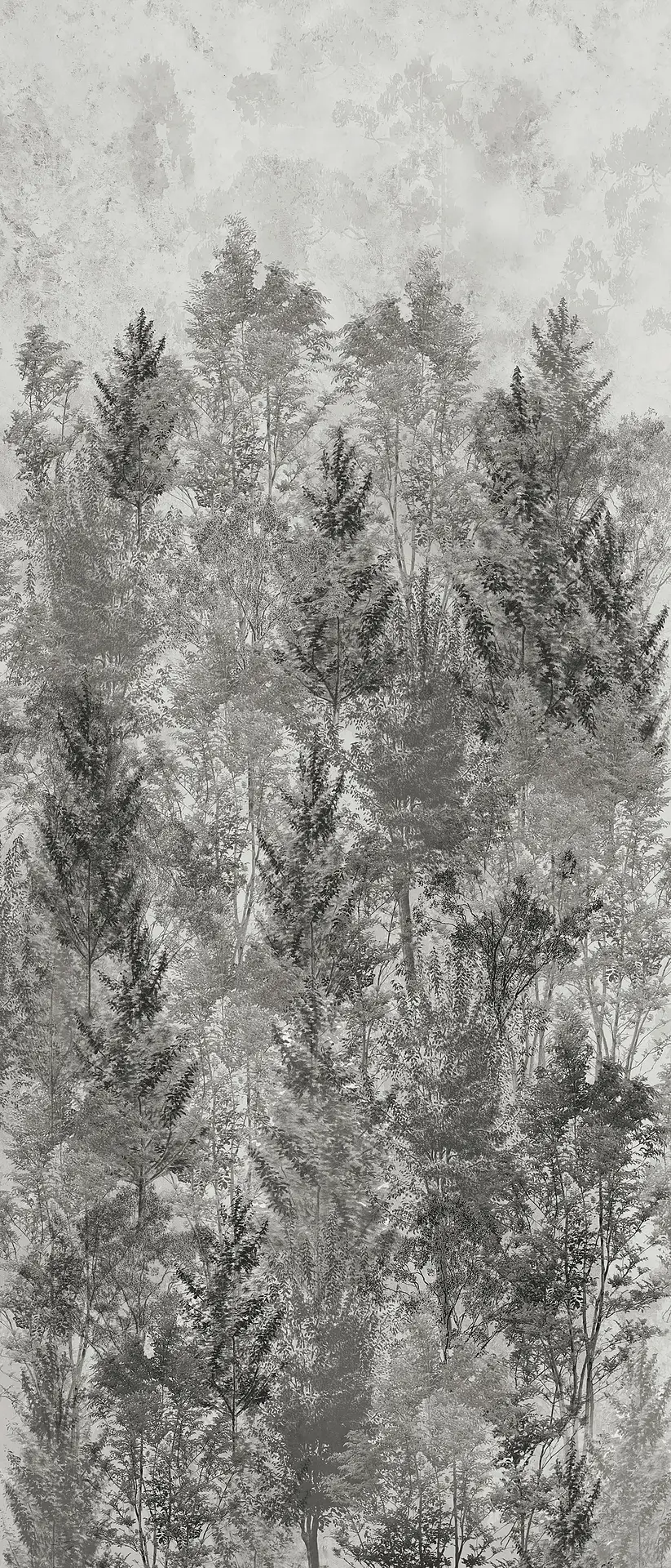 Gray tiles 120x280 (Italy). Reviews. Samples to the USA in 48h