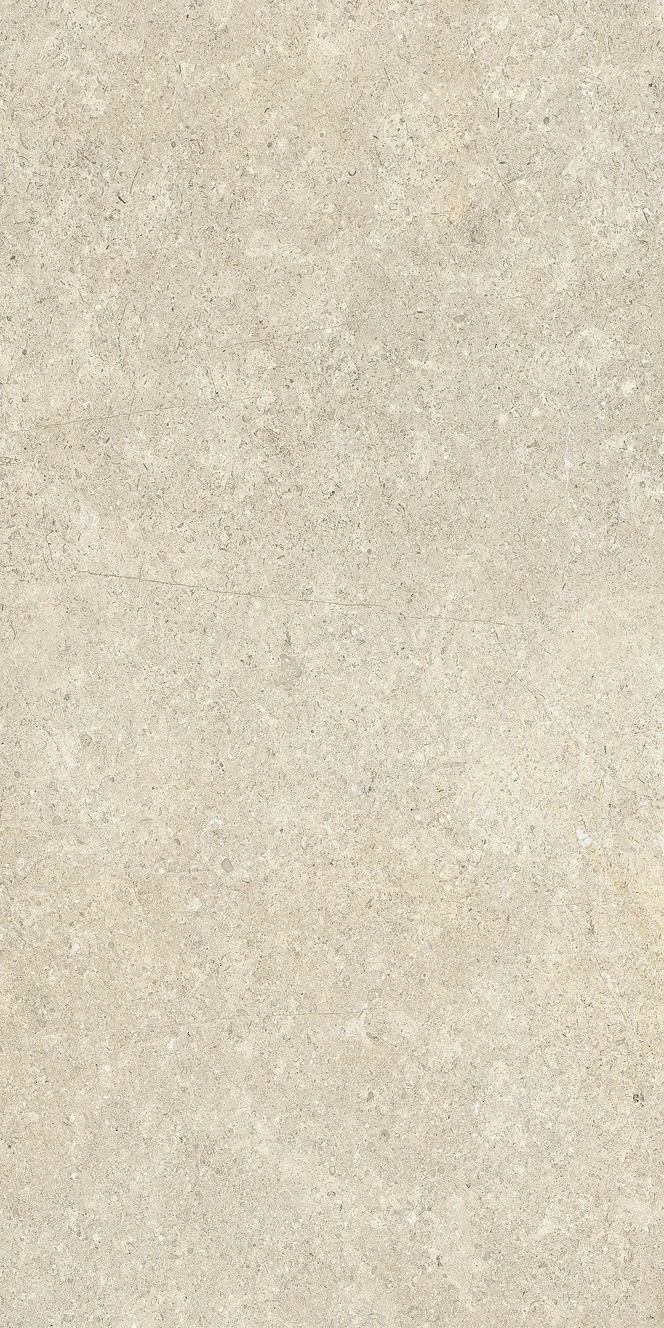 Beige tiles, limestone effect 60x120 (Italy). Reviews. Samples to the ...