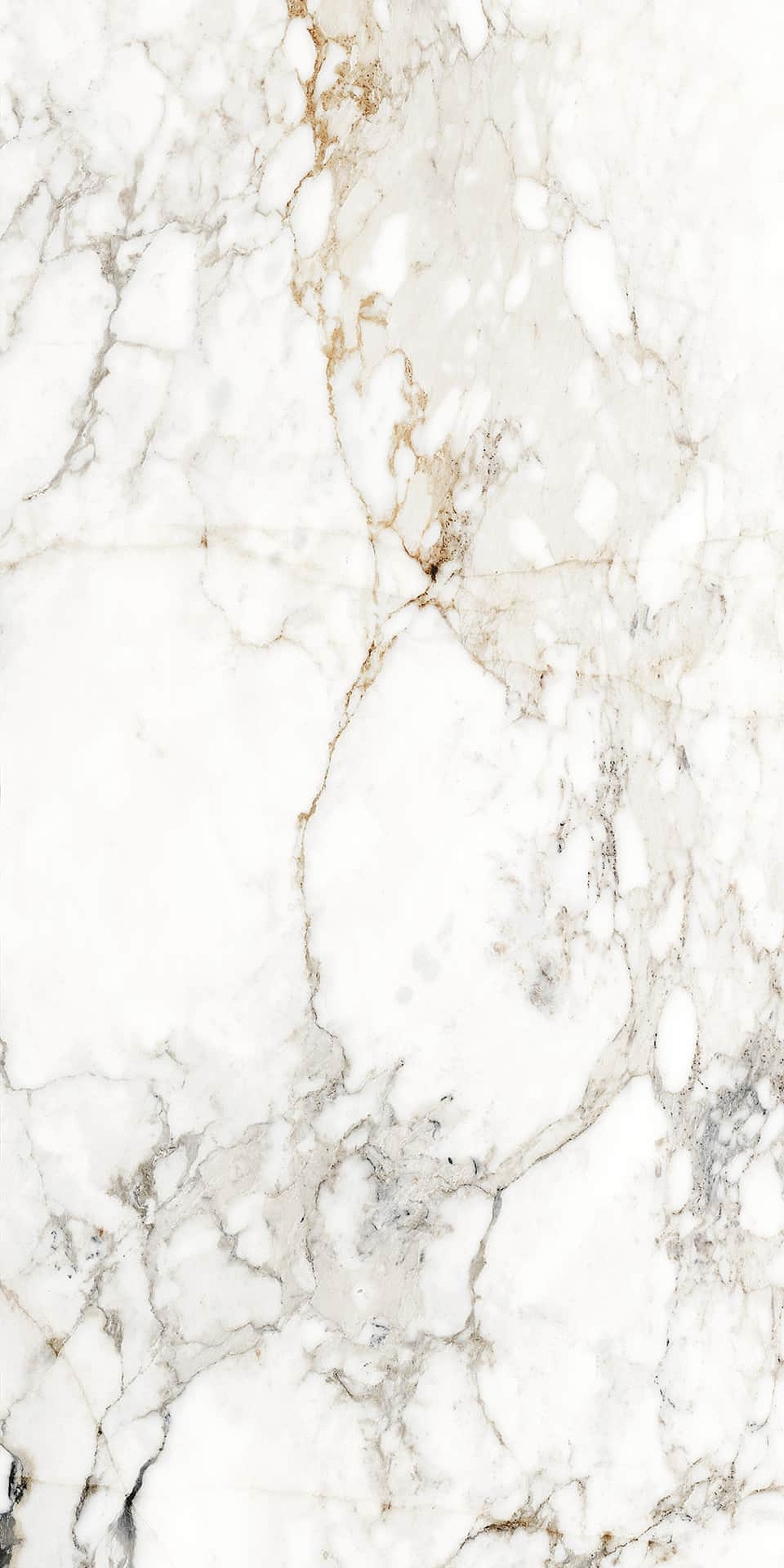 White tiles, other marbles effect 60x120 (Spain). Reviews. Samples to ...