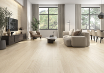 ITT Ceramic Montreal tiles. From $4 in New York +delivery