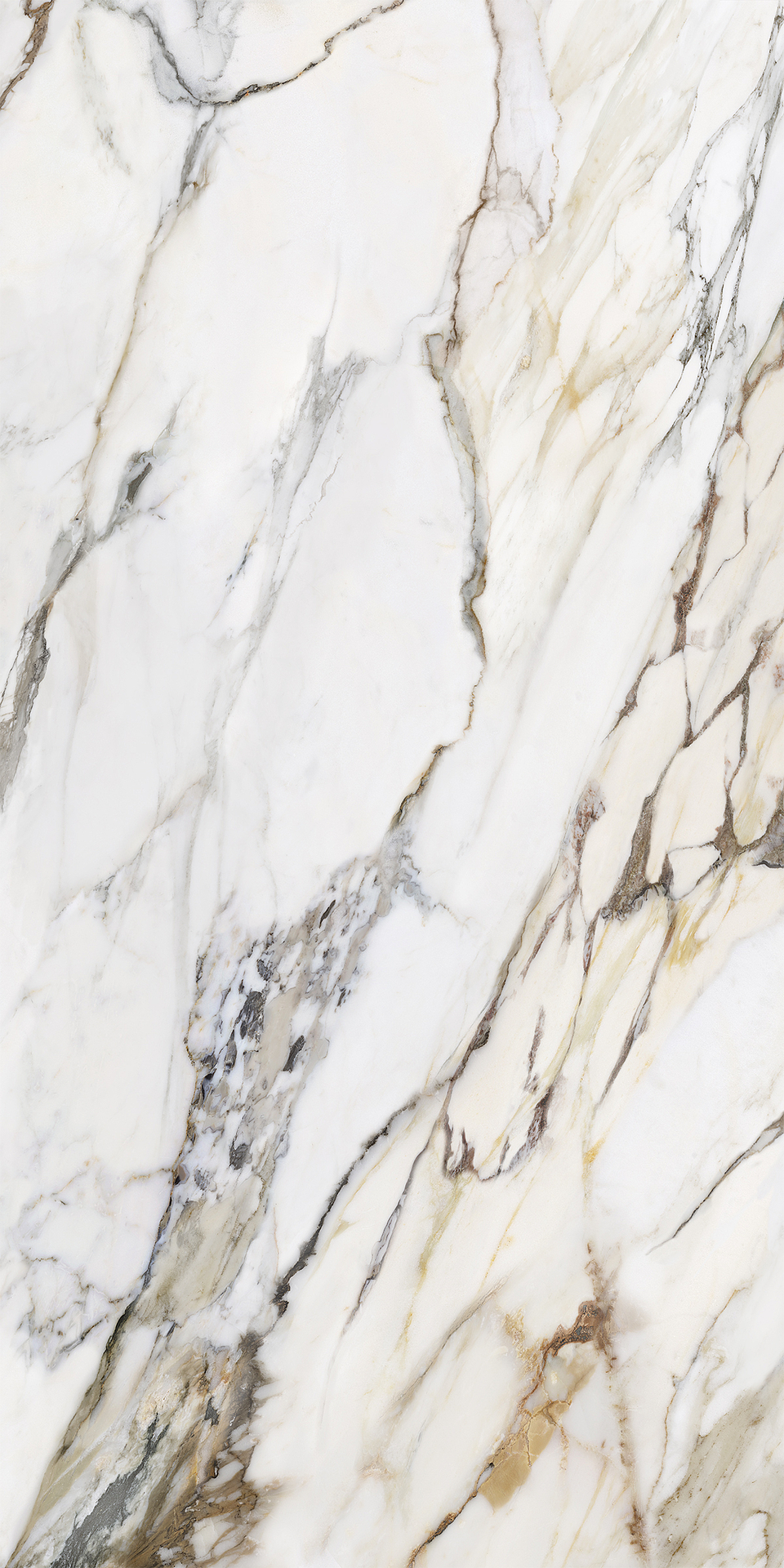 Beige tiles, carrara effect 160x320 (Italy). Reviews. Samples to the ...