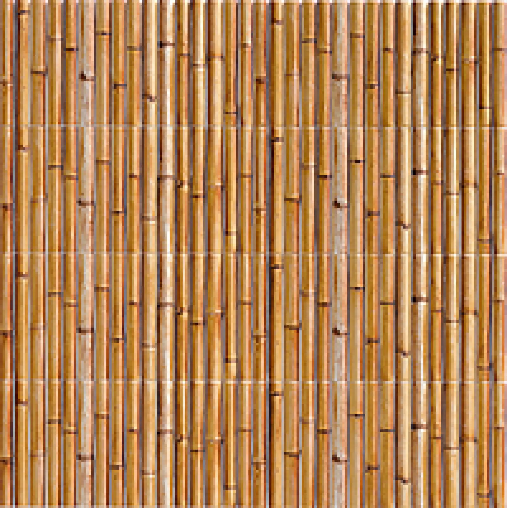 PT03453... Bamboo by Mainzu. From $3 in New York +delivery