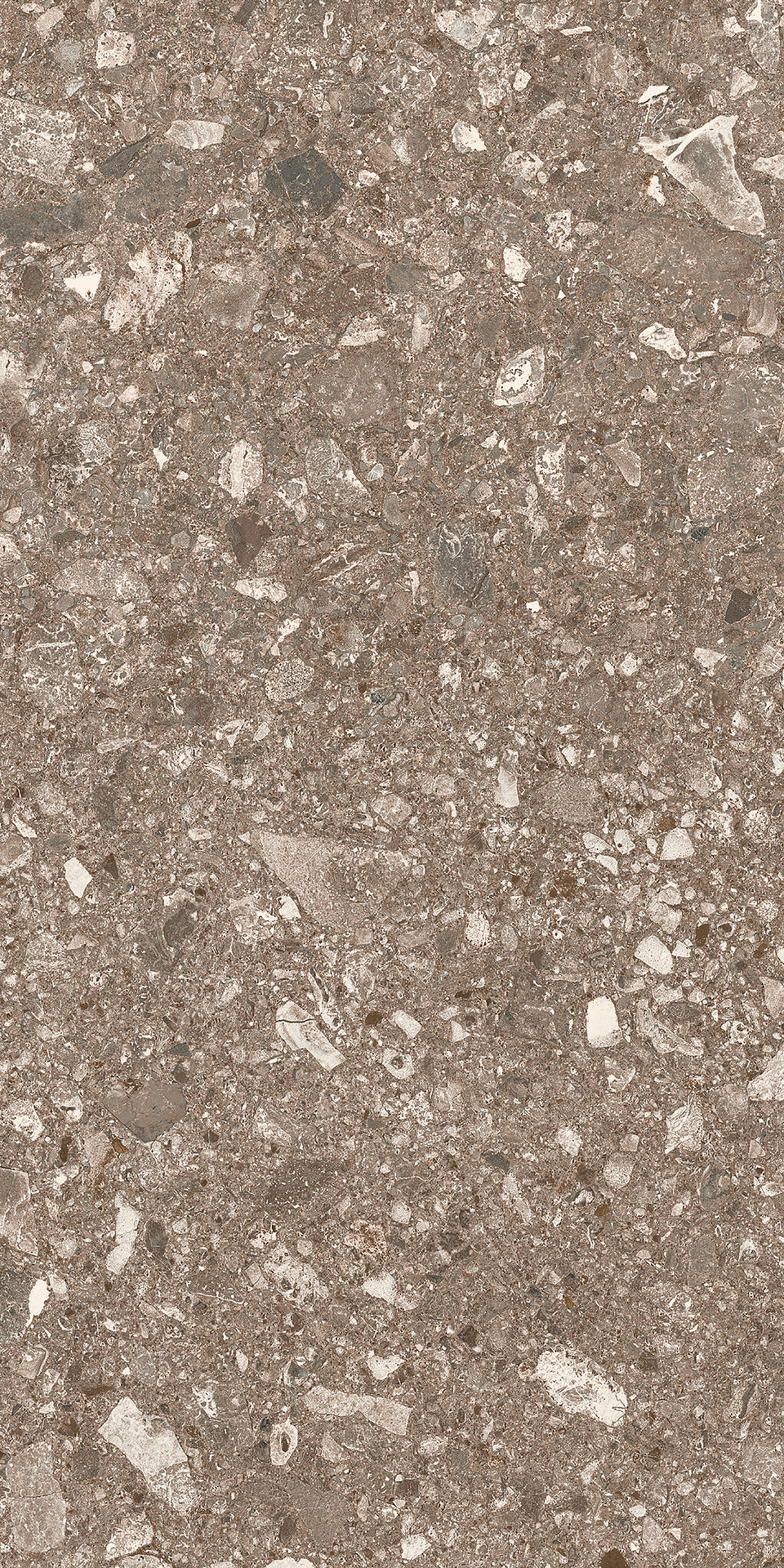 Beige tiles, ceppo di gré effect 30x60 (Italy). Reviews. Samples to the ...