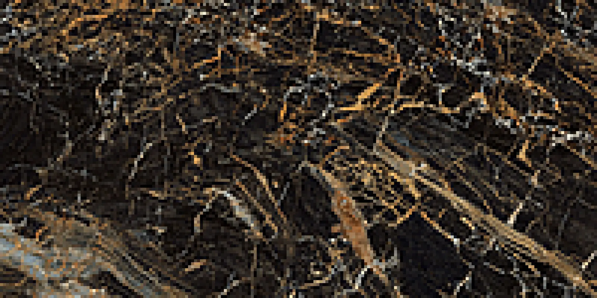 127688... Serenade by Naxos. From $7 in New York +delivery