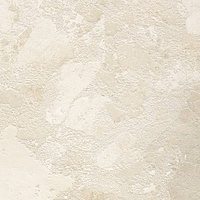Beige tiles, other stones effect 60x60 (Italy). Reviews. Samples to the ...
