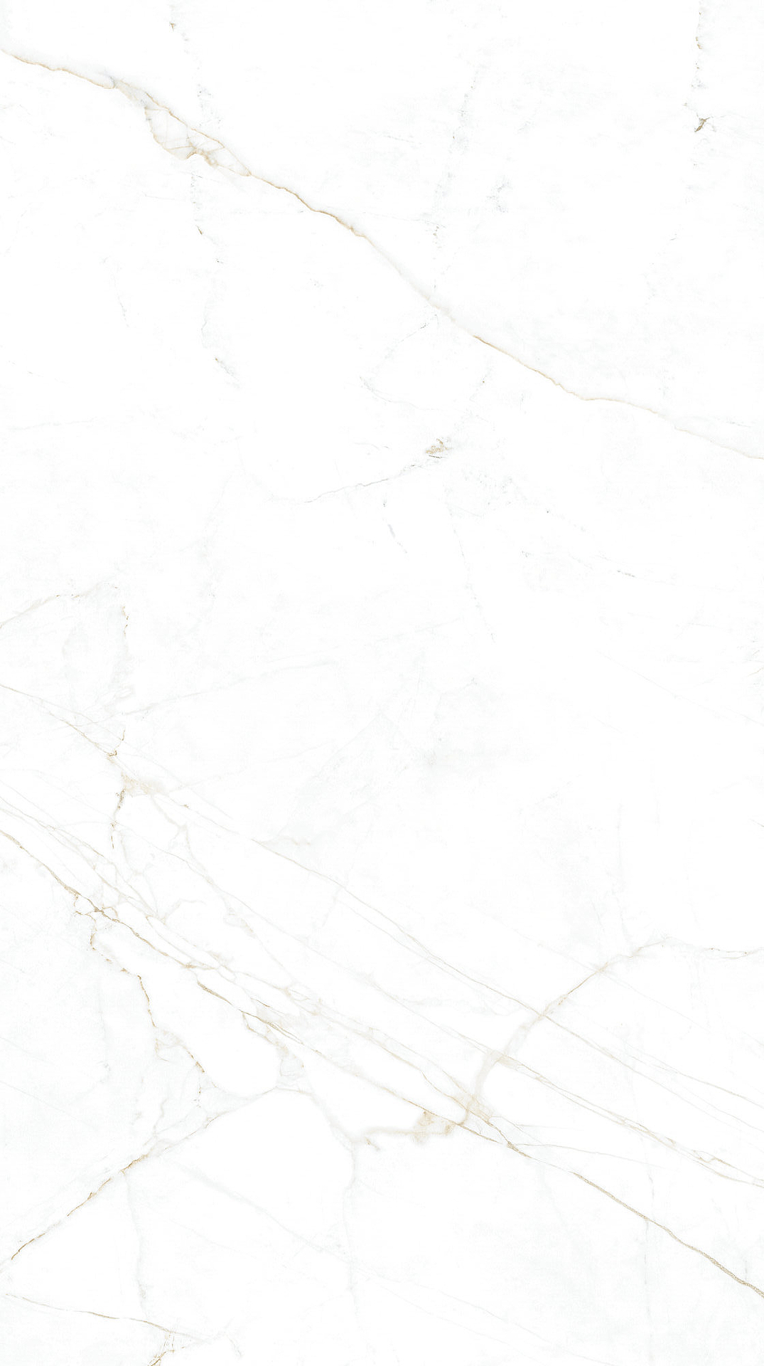 31744... Dual by Peronda. From $8 in New York +delivery