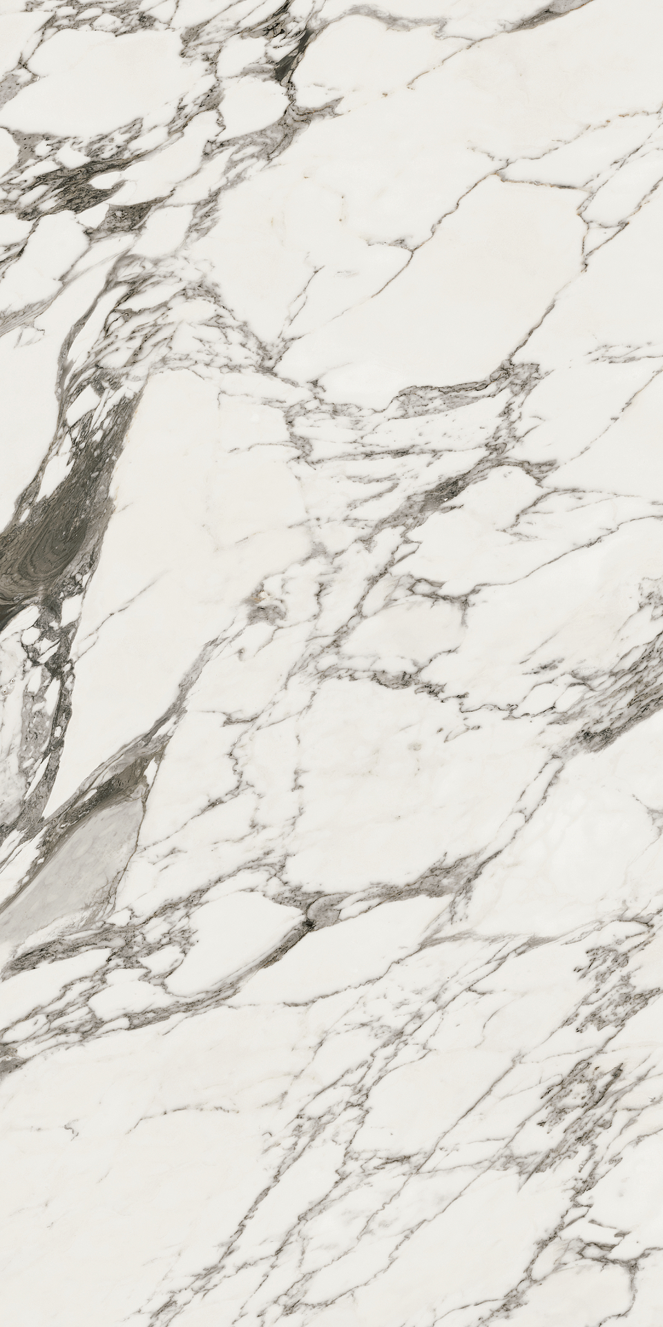 3112D33V71... Calacatta Classic by Revigres. From $5 in New York +delivery