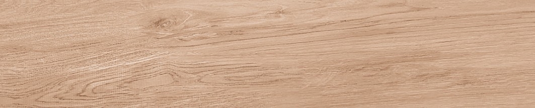 3110O73T41... Forest de Revigres. À partir de €18 au Portugal +livraison