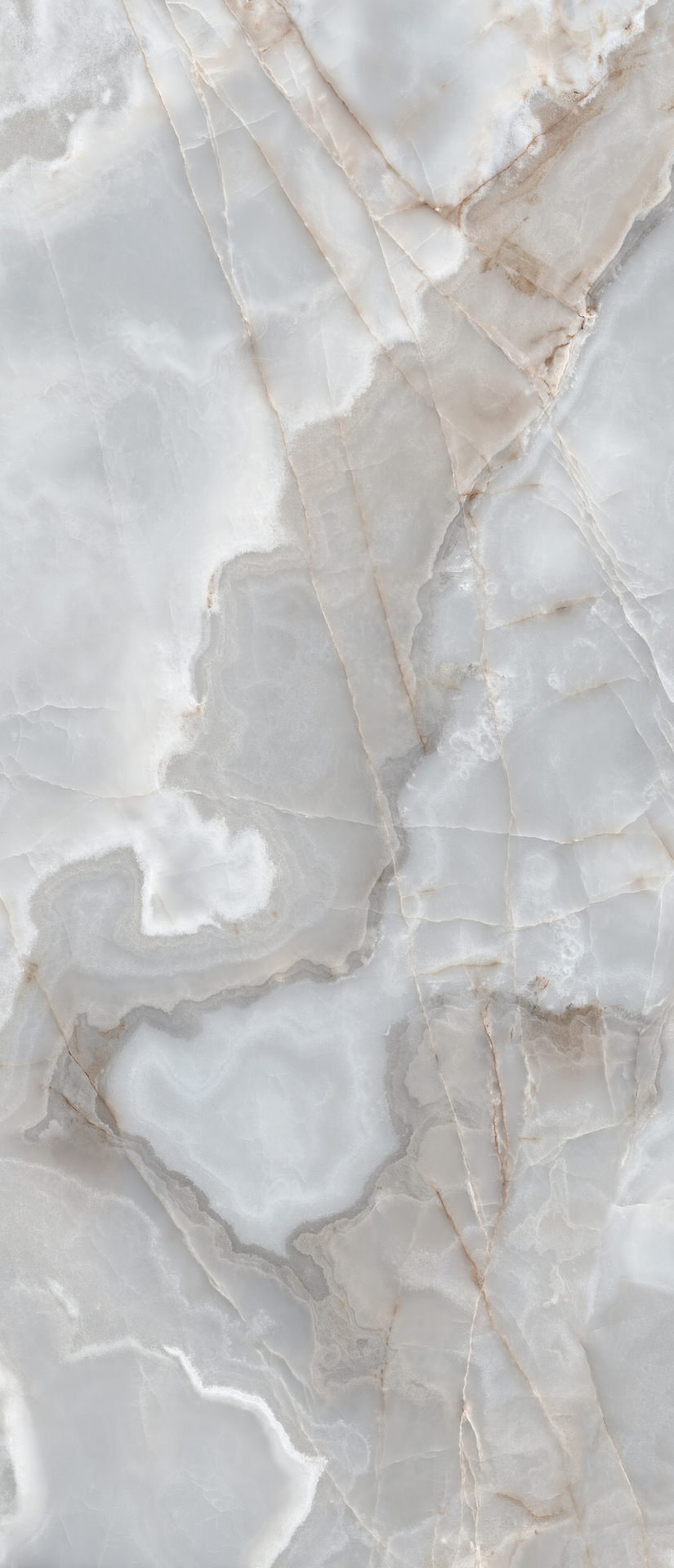 769923... Rêves de Rex by REX. From $10 in New York +delivery