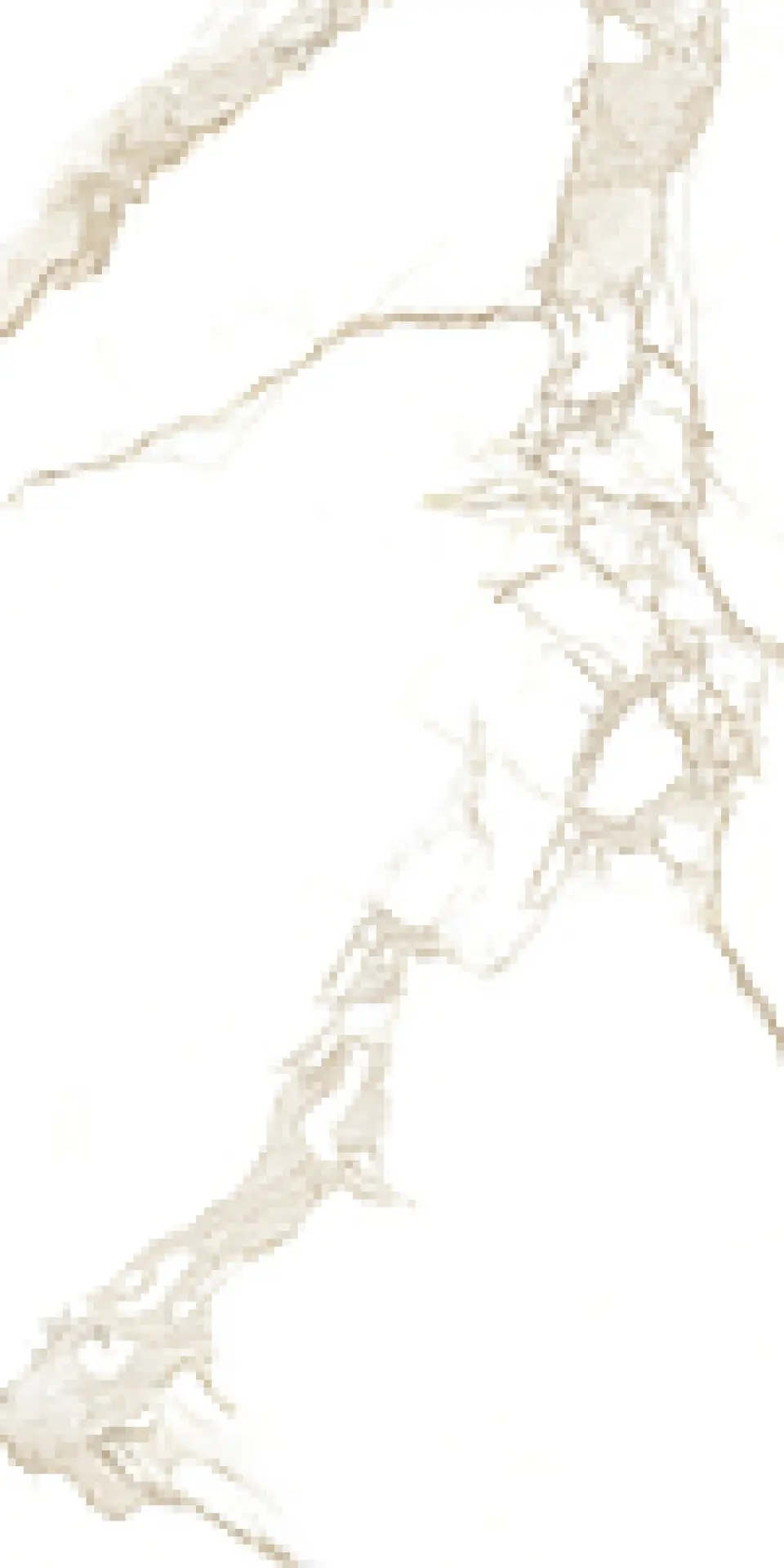 8600089... Cave by Saime. From $4 in New York +delivery