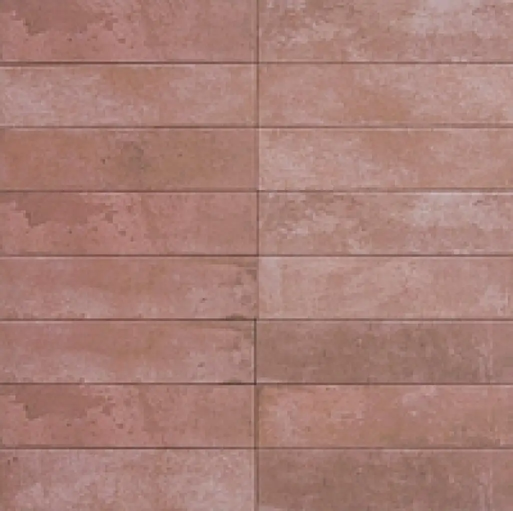 SAF28RO... Safari by Tonalite. From $5 in New York +delivery