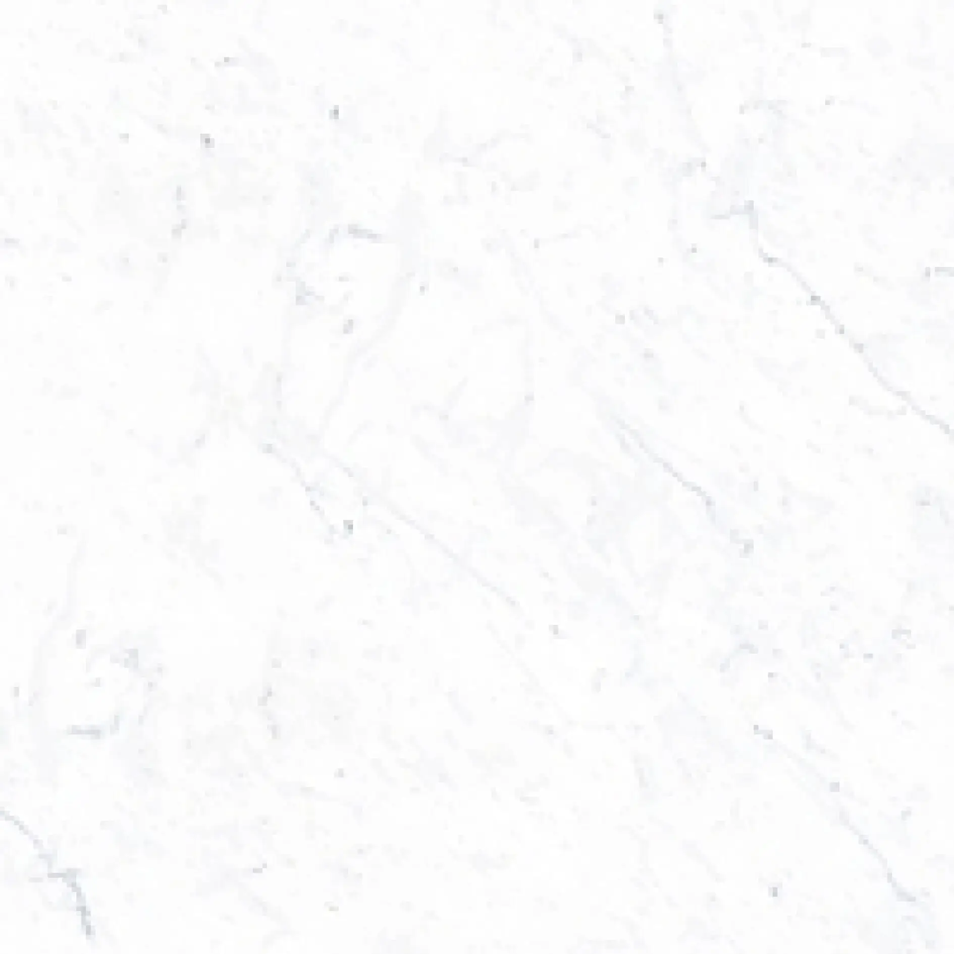 6000407... Carrara by Vallelunga. From $4 in New York +delivery